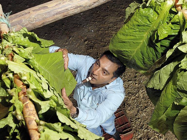 Rocky Patel: The Next Level | Cigar Journal